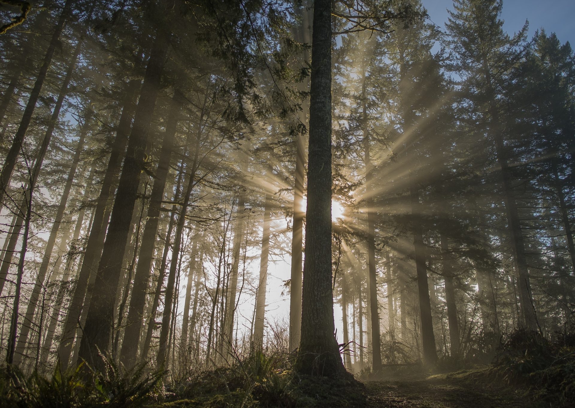 James Walter Hill - Cypress Funeral & Cremation Services