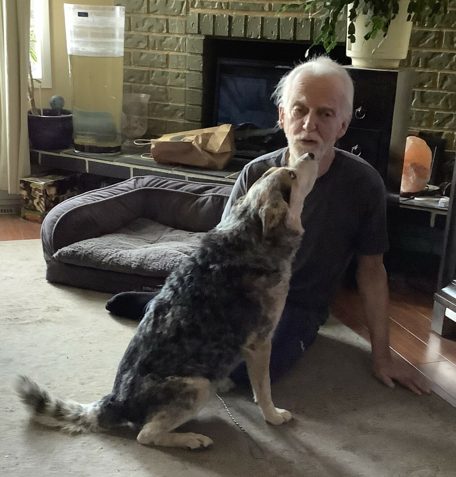 Richard Moore Harestad - Cypress Funeral & Cremation Services